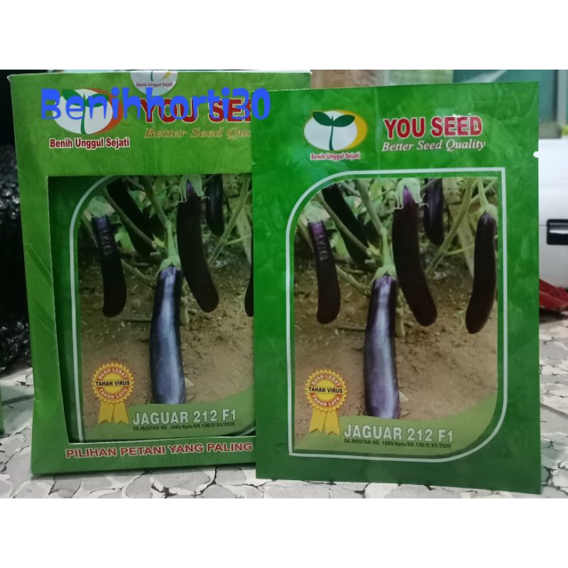 Jual Benih Terong Ungu Jaguar 212 f1 isi 1100 butir | Shopee Indonesia
