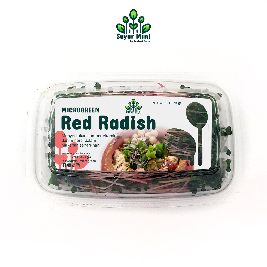 Jual SAYUR MINI Microgreen Red Radish 50gr - Salad Microgreen - Fresh ...