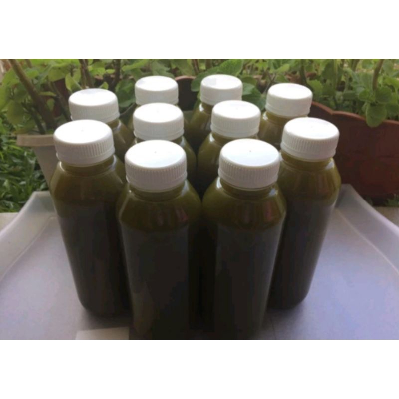 Jual ASI Booster Torbangun - Dapurkeiko botol 330 ml | Shopee Indonesia