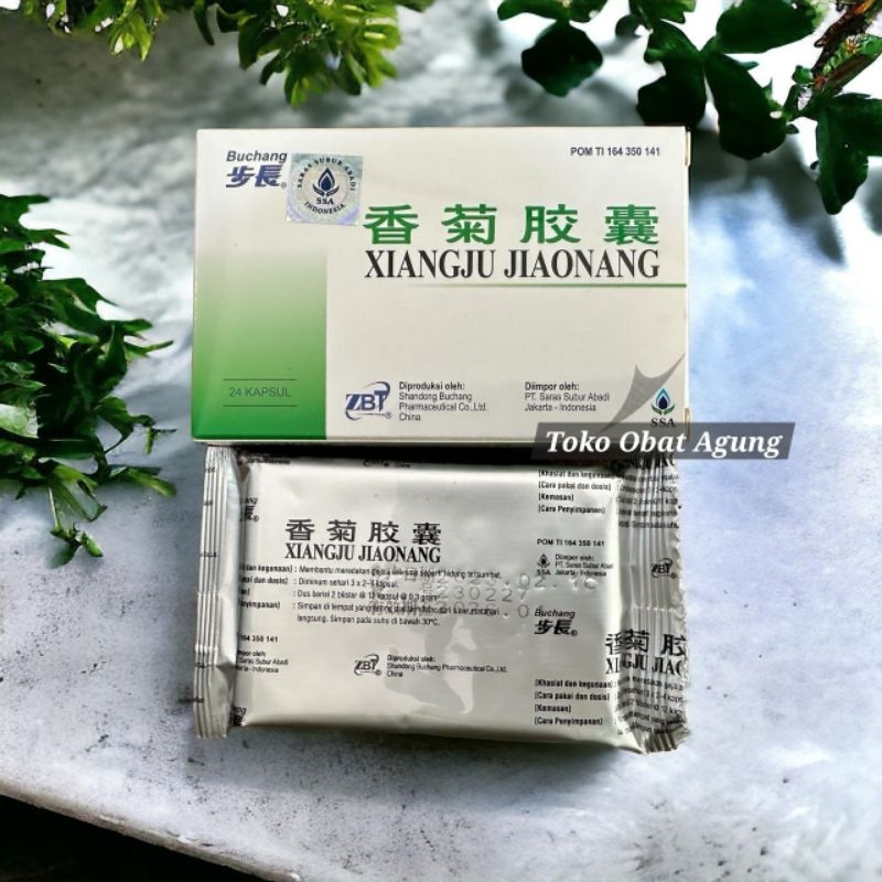 Jual Buchang Xiangju Jiaonang. Obat Sinusitis, Rhitis, Radang Sinus & Hidung | Shopee Indonesia