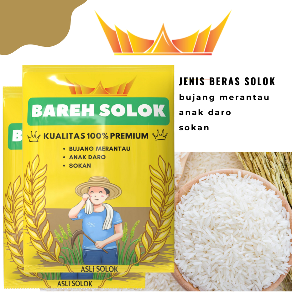 Jual Beras solok / Bareh Solok Kualitas Premium Tanpa campuran 3 KG ...