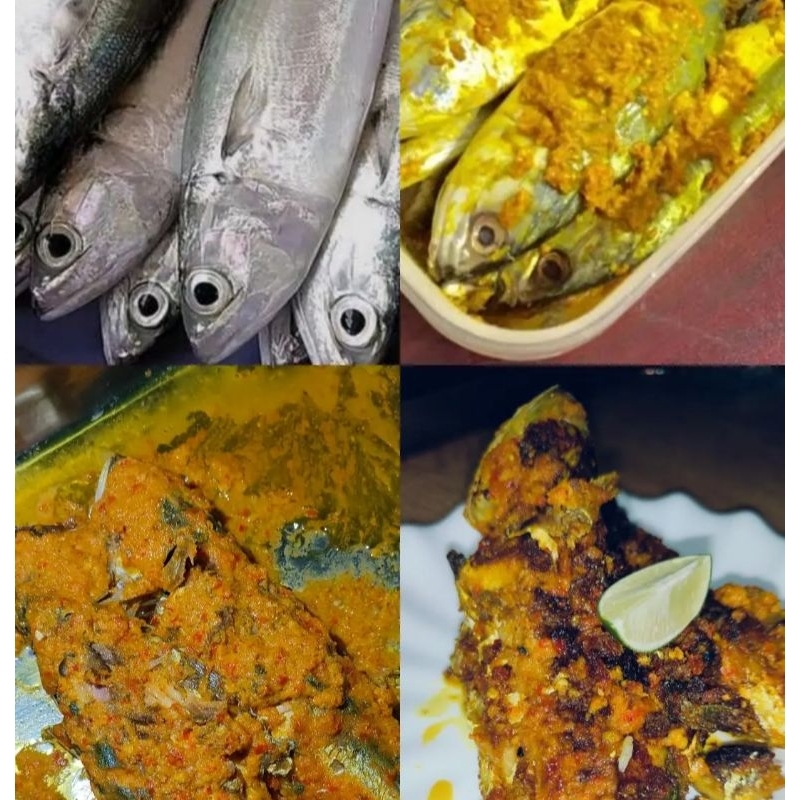 Jual Ikan kembung segar mentah/marinasi/matang Asli Banjar | Shopee ...
