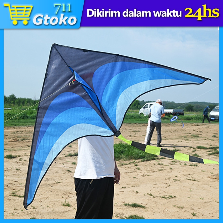 Jual Mainan Layangan Anak Besar Jumbo Layang Panjang Ekor Hijau Biru ...