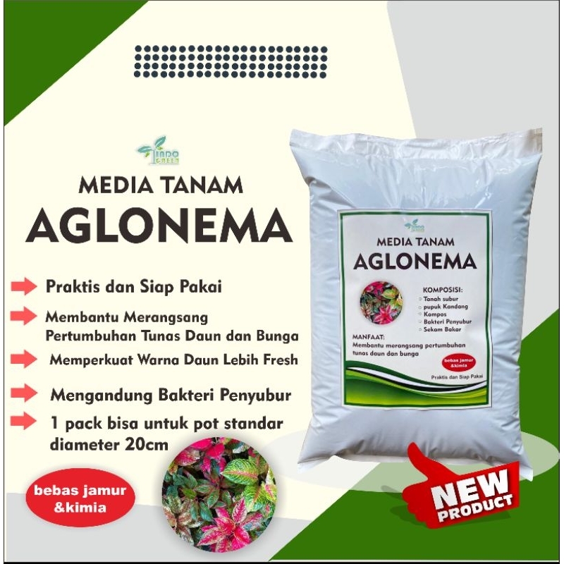 Jual media tanam aglonema 1L premium | Shopee Indonesia