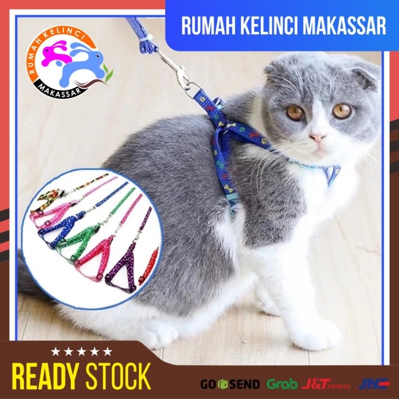 Jual TALI TUNTUN Kucing Motif Tali Tuntun Penuntun Kucing Harness ...