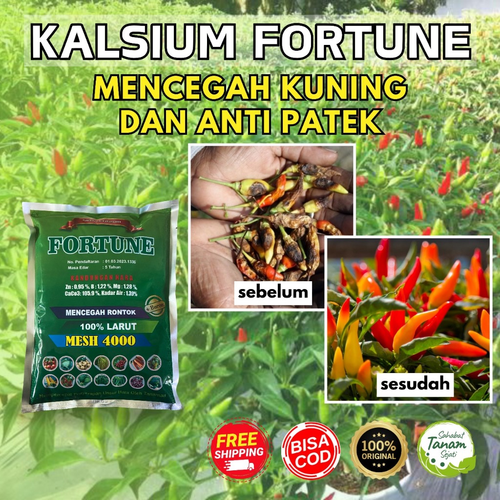 Jual Fortune Pupuk Kalsium Cabe + Zinc + Boron Perkuat Batang Daun ...