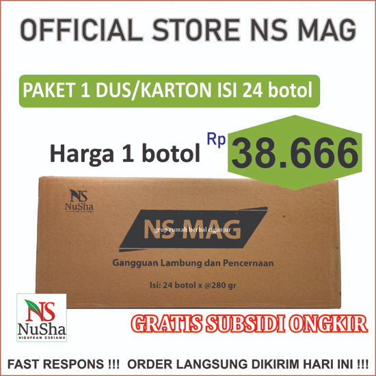 Jual NUSHA - (Paket 24 botol Atau 1 Karton) Madu Lambung NS MAG - Madu ...