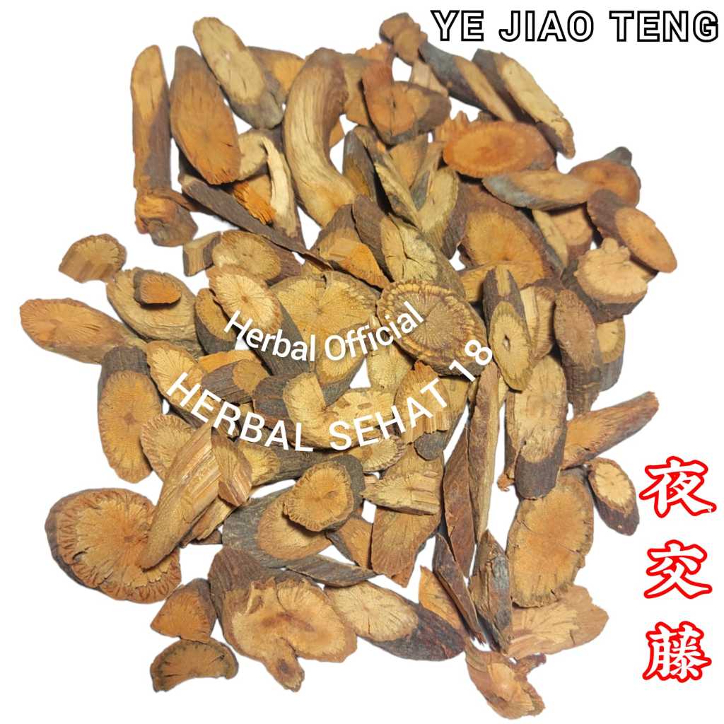 Jual 100 gram - Ye Jiao Teng 夜交藤 Shou Wu Teng - Polygonum Vine | Shopee ...