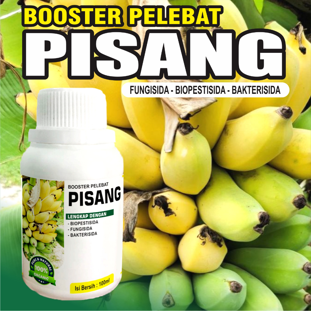 Jual Pupuk Booster Pisang Pelebat Organik Cepat Berbuah Lebat 100ml murni fermentasi organik ...