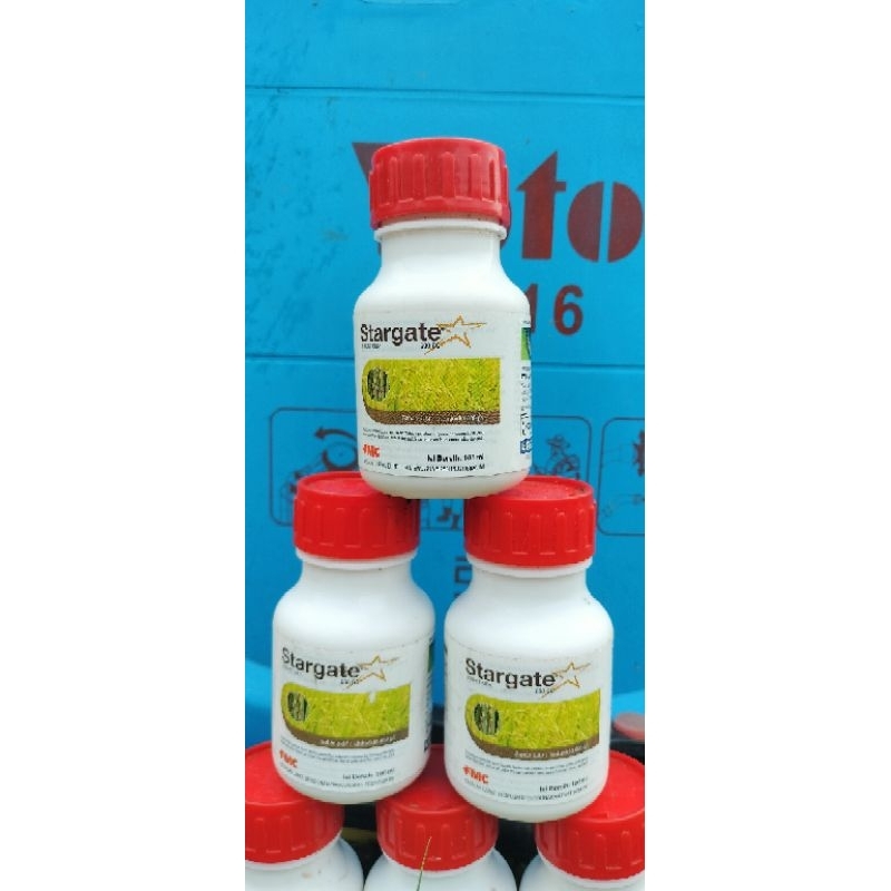 Jual stargate 600 SC 100ml insektisida 100ml | Shopee Indonesia