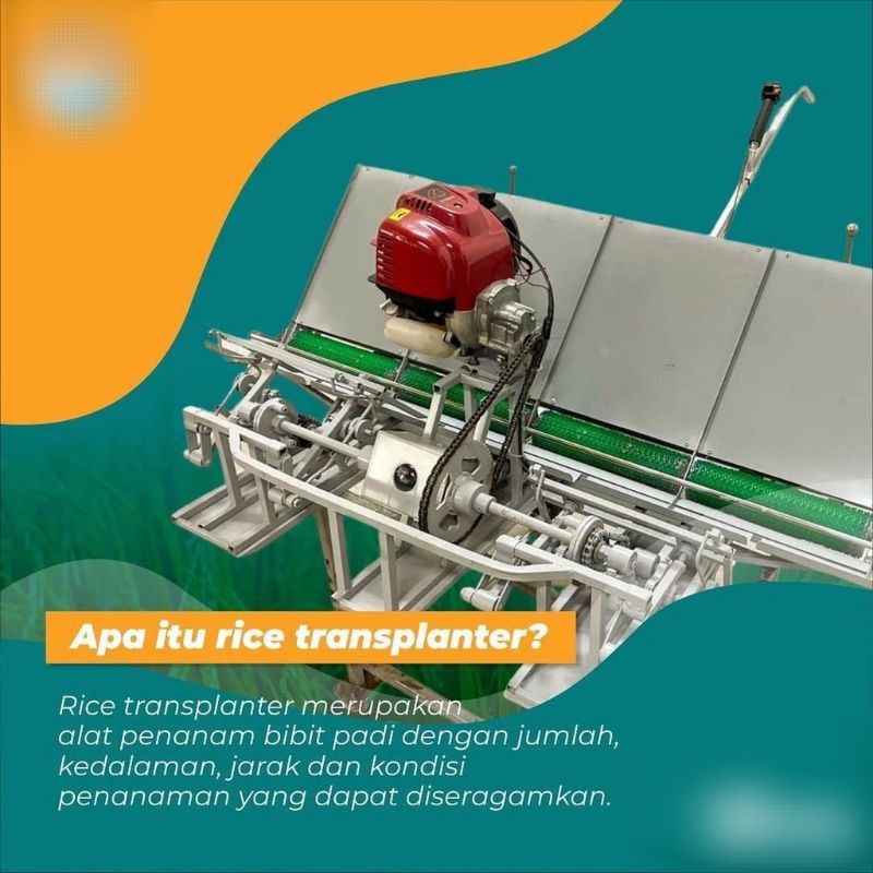 Jual #Mesin Tanam Padi Tepat Guna #6 Baris #Rice Transplanter #impor ...