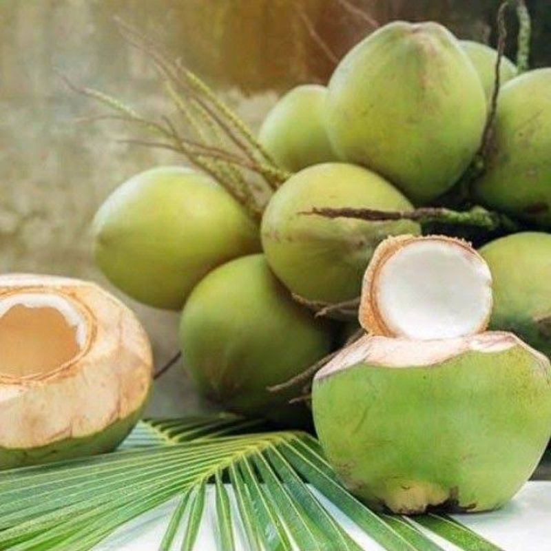 Jual Kelapa Muda (Degan) 1 Buah | Shopee Indonesia