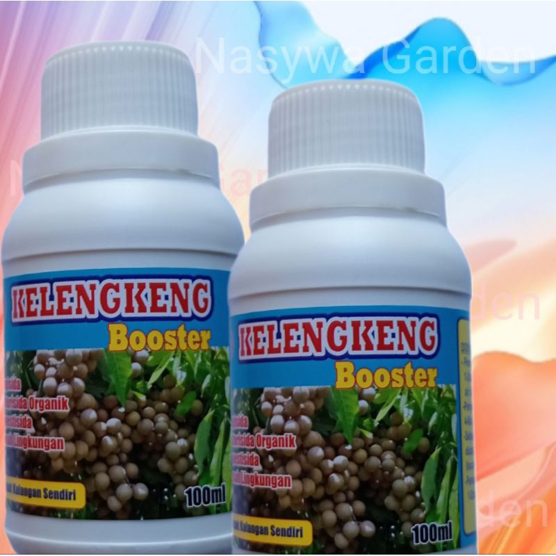 Jual Pupuk Kelengkeng Booster Organik Buah Terbaik Ampuh Agar Cepat Berbuah Lebat Anti Rontok ...
