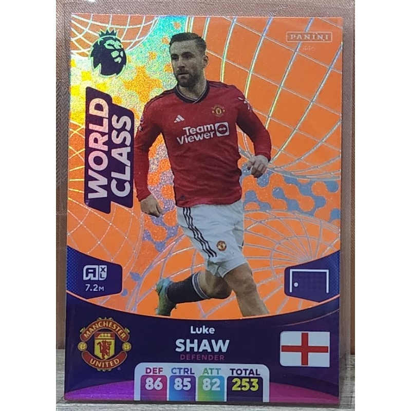 Jual Panini football card premier league edition | Shopee Indonesia