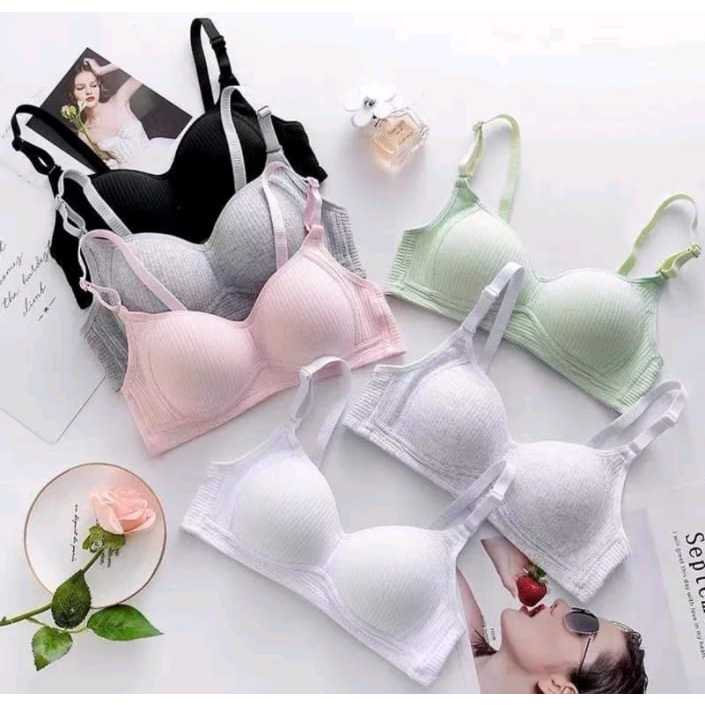 Jual TERBARU BH Murah 6 Pcs Ukuran 34,36,38,40,42/Bh Dewasa wanita ...