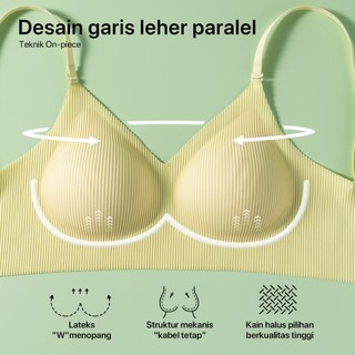Jual GRENEY-I.M.S-Bra Akordeon Punggung Cantik U Seamless Penyangga ...