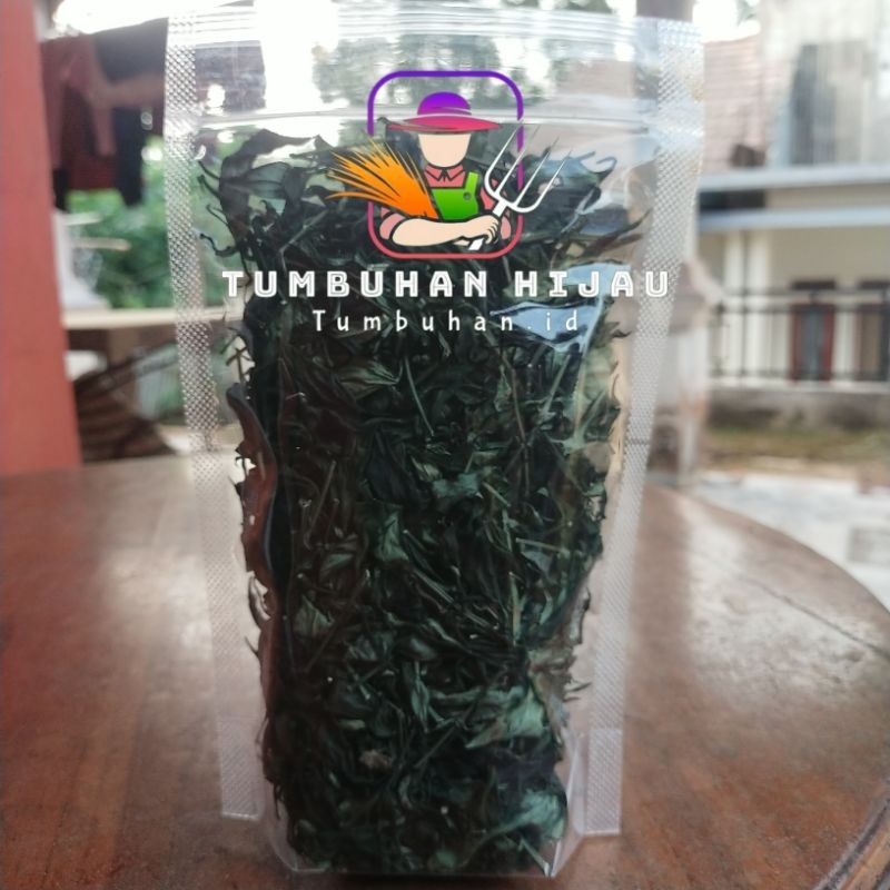 Jual Daun Sambiloto Kering Sambiloto Kering dan Alami | Shopee Indonesia Jual Daun Sambiloto Kering Sambiloto Kering dan Alami | Shopee Indonesia