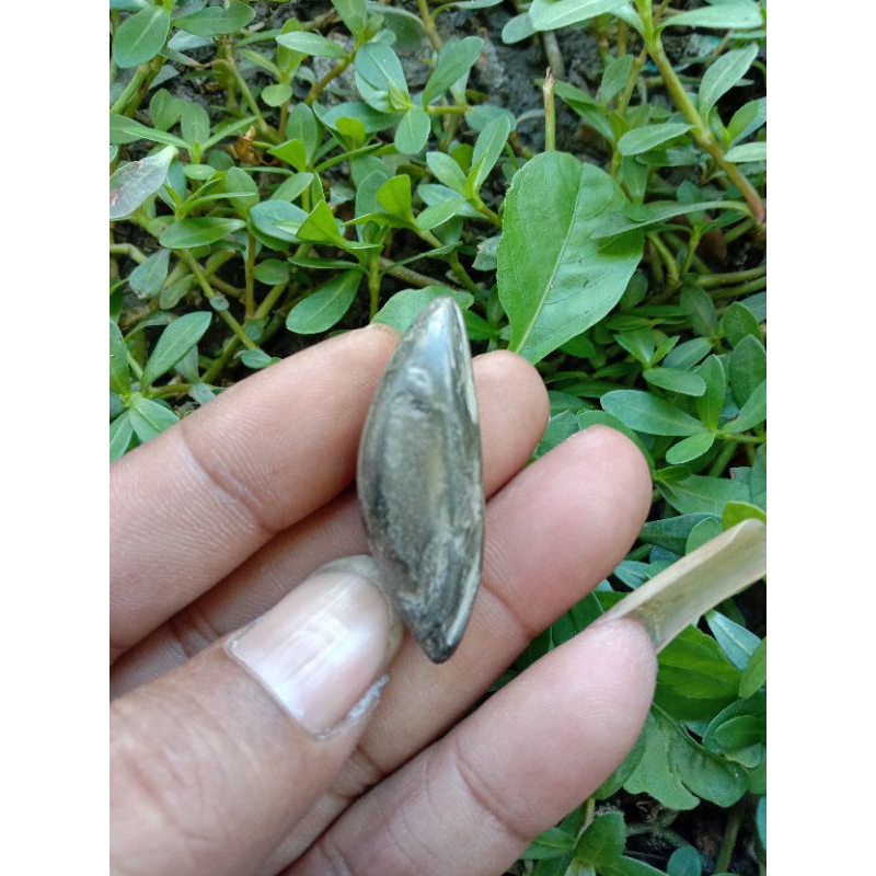 Jual temuan batu unik gunung kendeng | Shopee Indonesia