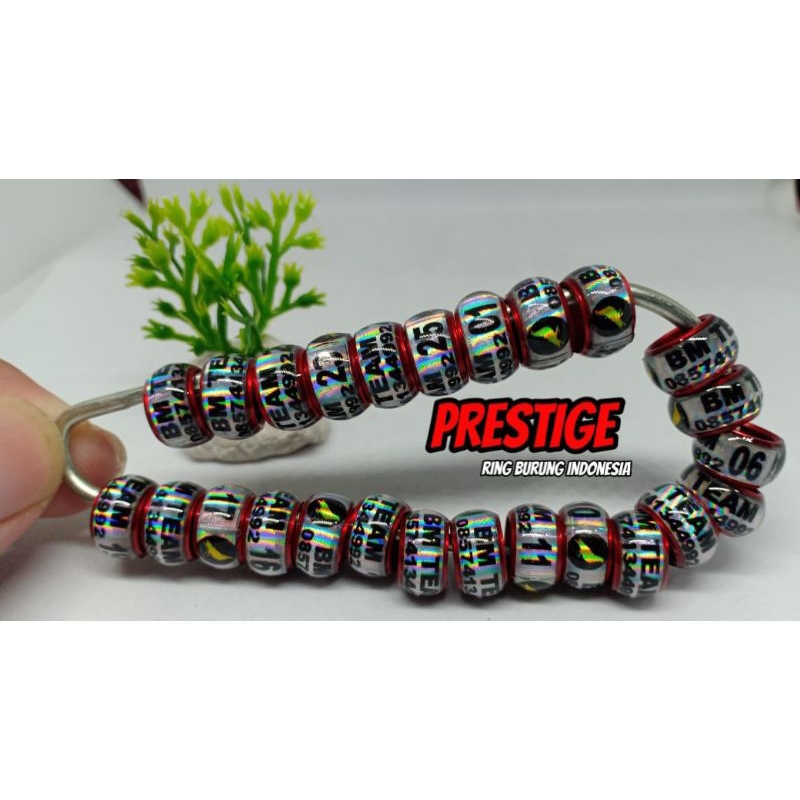 Jual RING BURUNG MERPATI LUBANG 7,5 MM BISA REKUES NAMA WARNA DLL ...