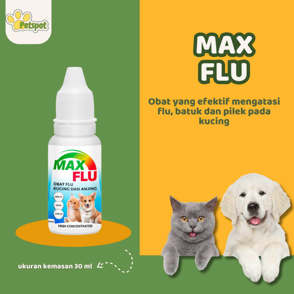 Jual MAX FLU | Obat Flu Batuk Pilek Kucing Anjing | Shopee Indonesia