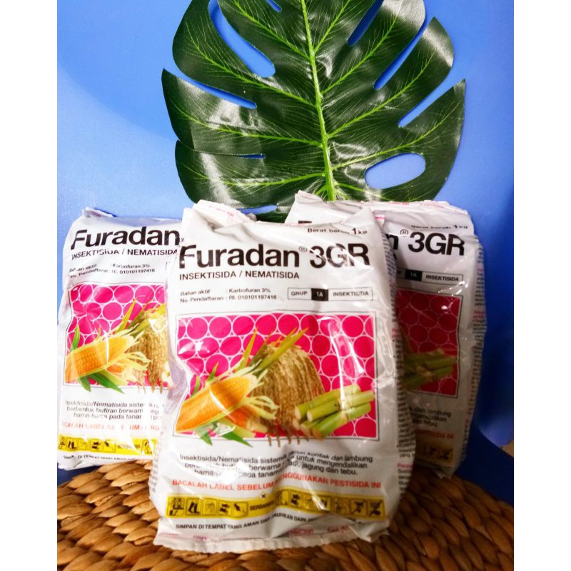 Jual Furadan 3GR Insektisida Repack 100 Gram | Shopee Indonesia