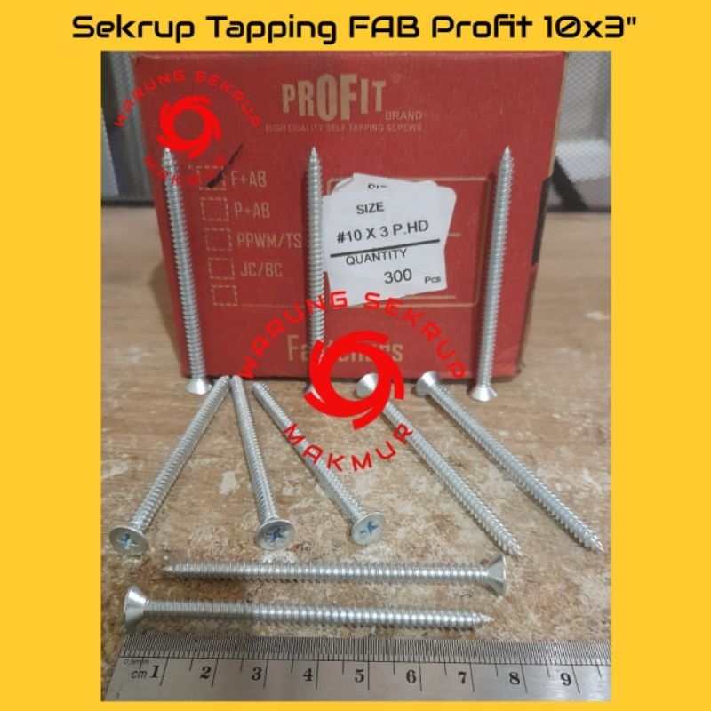 Jual (50 pcs) Sekrup FAB 10x3" / Skrup Tapping Kepala Rata 7.5CM ...