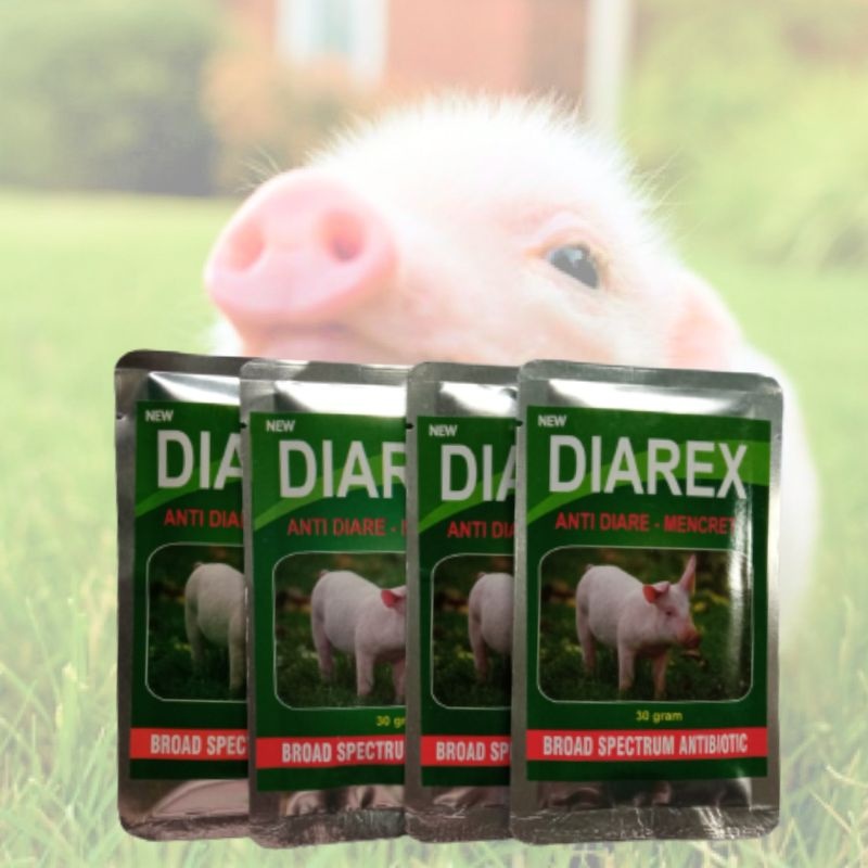 Jual OBAT MENCRET BABI ANTIBIOTIK ANAK BABI SAKIT DIARE | Shopee Indonesia