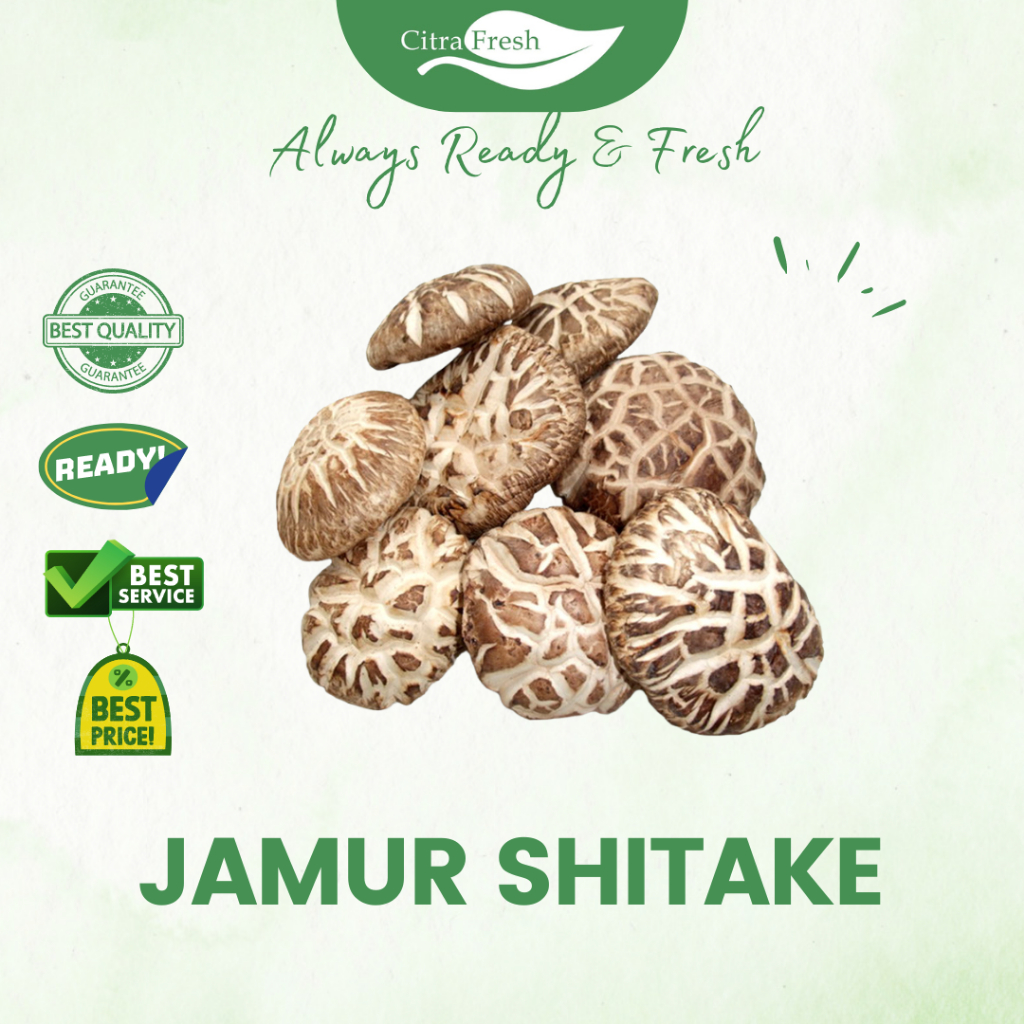 Jual CITRA FRESH - Jamur Shitake Import 100 Gram - Selalu Ready dan ...