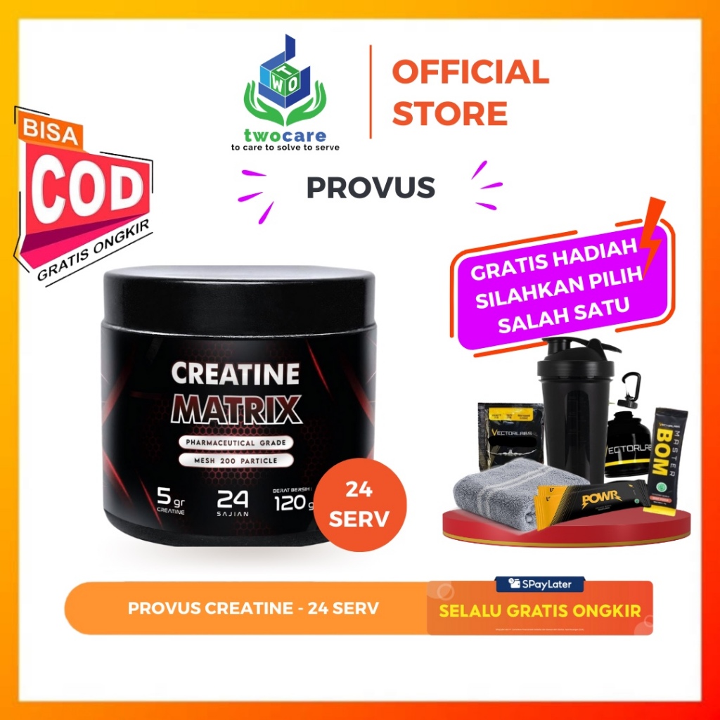 Jual Provus Creatine Matrix 24 Serving Creatine Monohydrate 120 gram ...