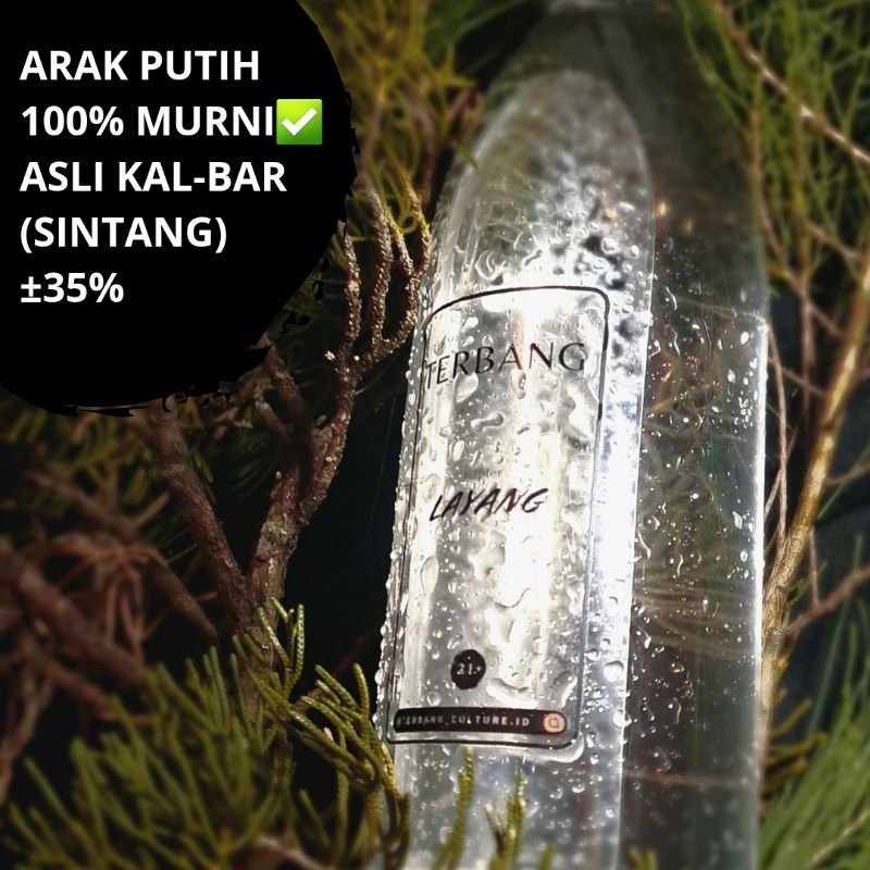 Jual Minuman tradisional 600ml KALIMANTAN BARAT ORIGINAL 100% | Asli ...