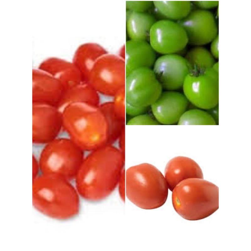 Jual Tomat merah ,tomat ijo,tomat ceri 250gram,500gram | Shopee Indonesia
