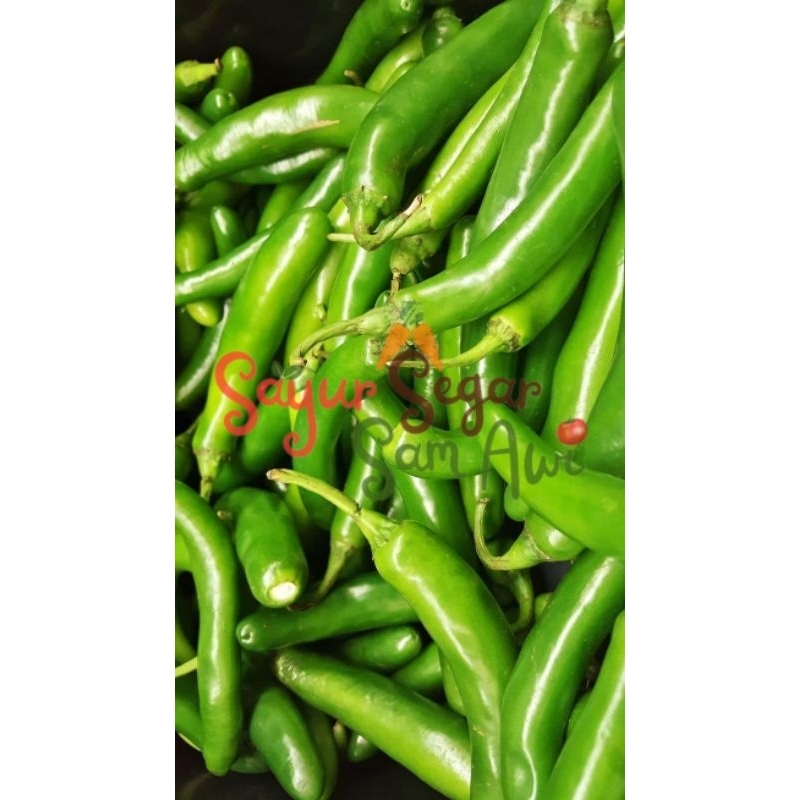 Jual CABE LALAP, CABE HIJAU KECIL | INSTANT MALANG | SAYUR SEGAR ...