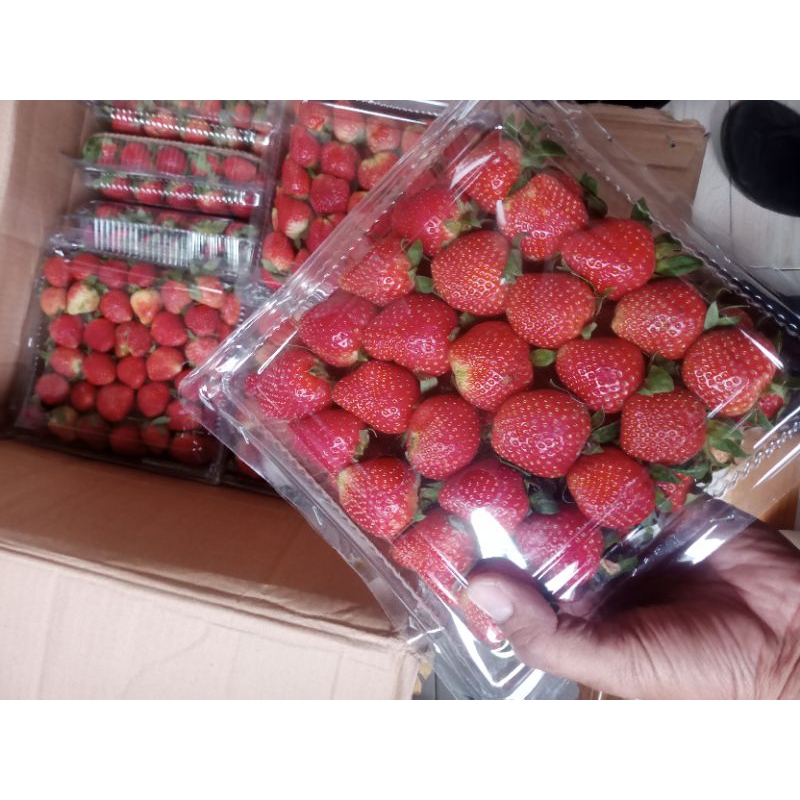 Jual 1KG STROBERY FRESH GRADE JUMBO PREMIUM | STROBERY FRESH | STROBERY ...