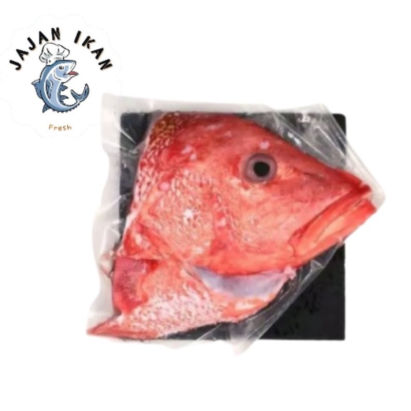 Jual Kepala Kakap Merah/ Kepala ikan kakap merah resh 1kg | Shopee ...