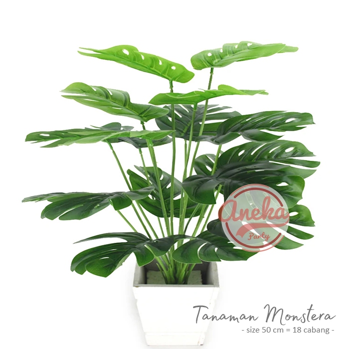 Jual Daun Monstera 18 cabang JUMBO / Tanaman Hias Artifical Palsu Daun ...
