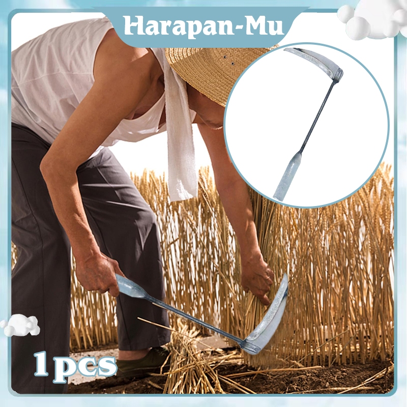 Jual Sabit Potong Rumput Kored Rumput Tajam Arit Rumput Multifungsi ...
