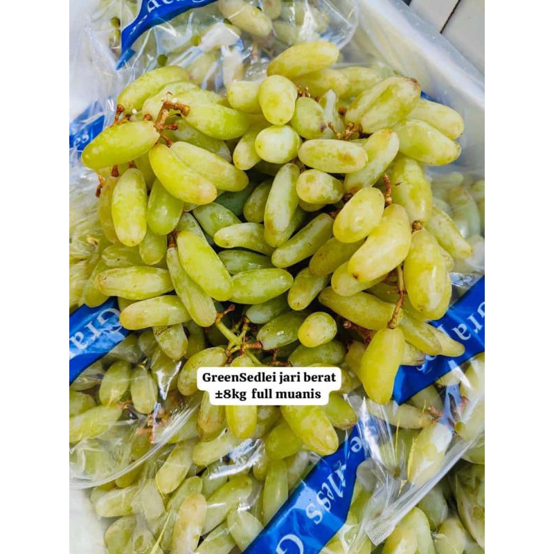 Jual ANGGUR JARI HIJAU/ KANTONG | Shopee Indonesia