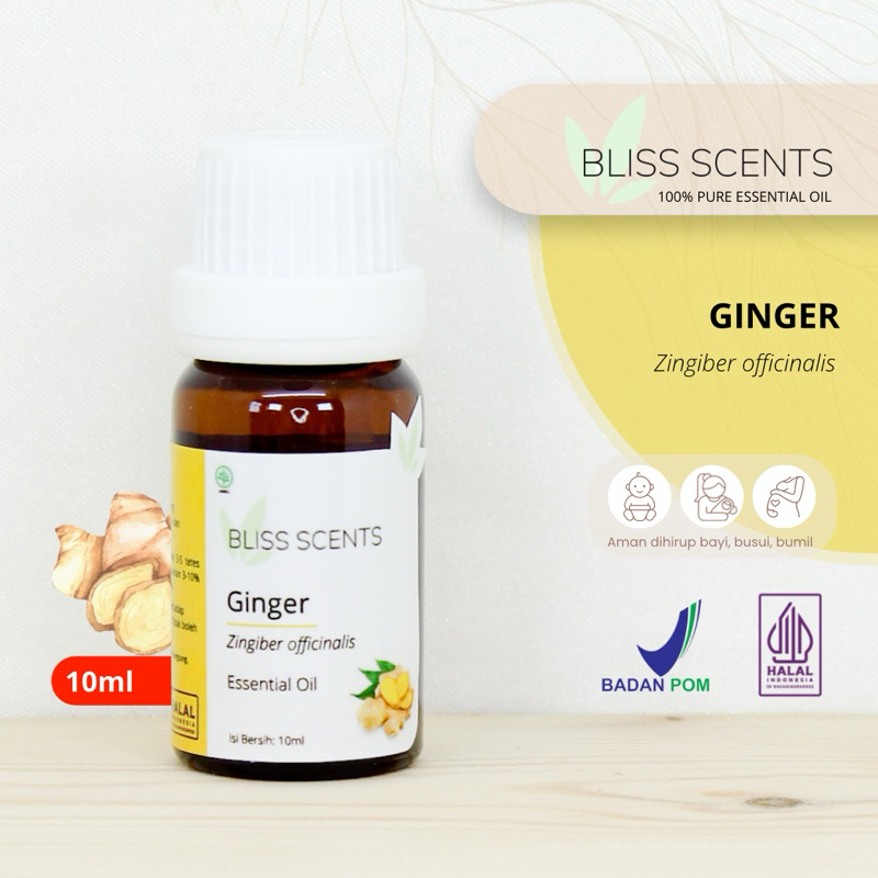 Jual BLISS SCENTS Ginger / Jahe Essential Oil Aromaterapi 100% Murni ...