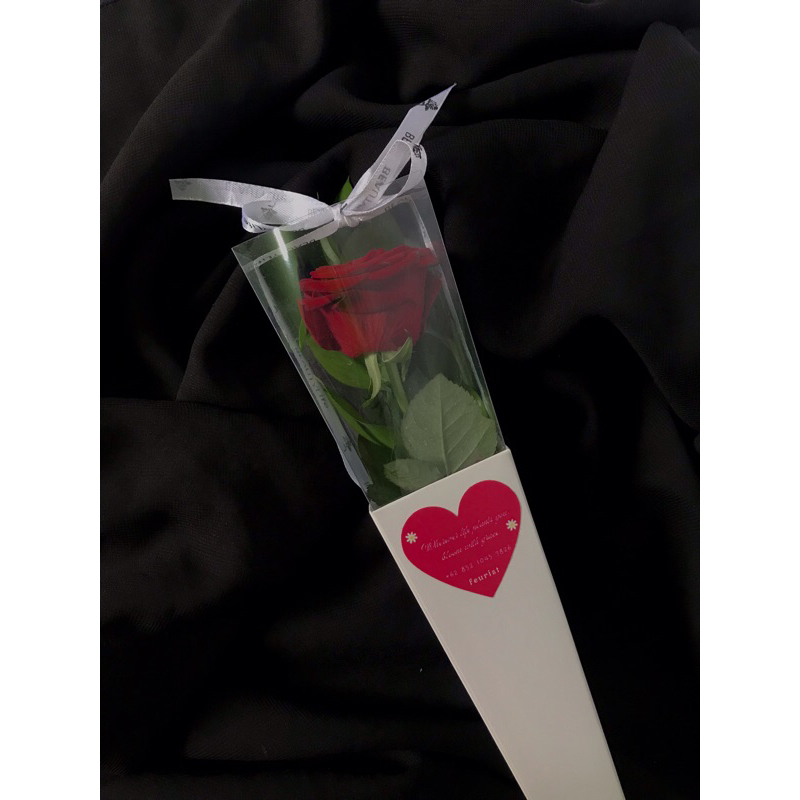 Jual Single rose, fresh rose cone, bunga mawar merah asli, bunga mawar ...