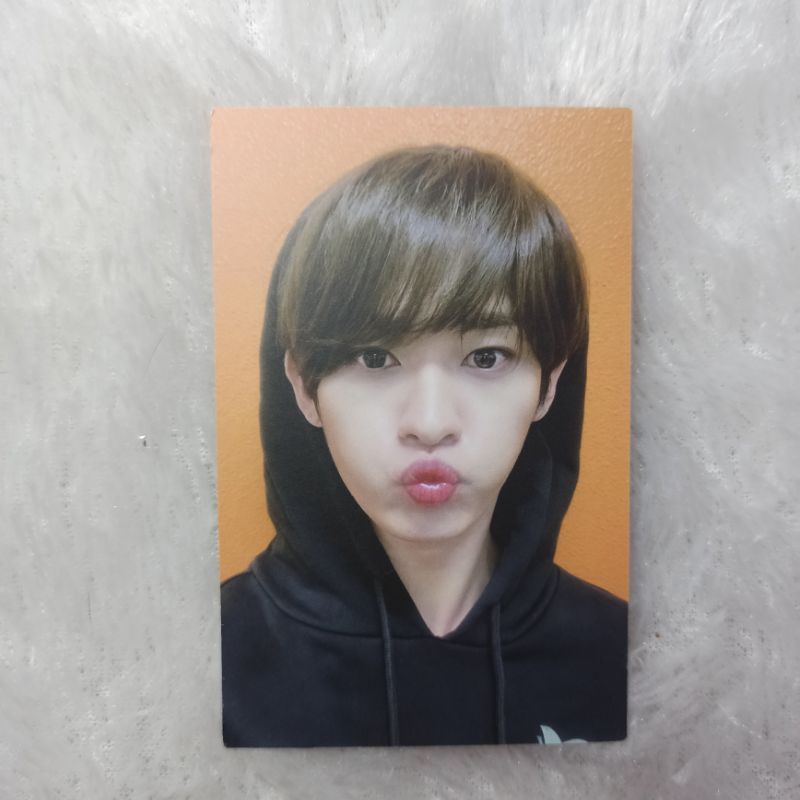 Jual Stray Kids Lee Know Go Live Orange DS Double Side Photocard Goseng ...