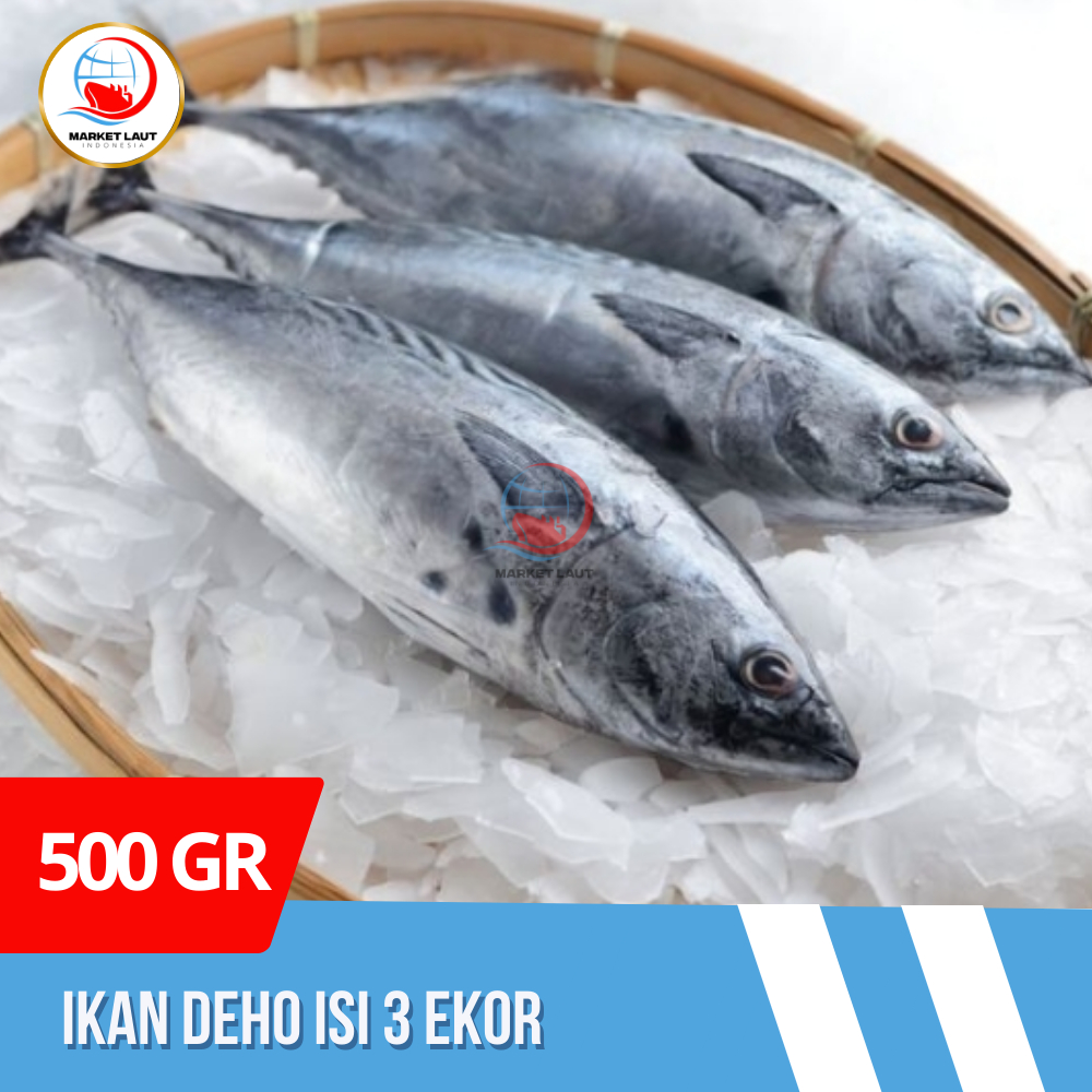 Jual Ikan deho 500-600 gr isi 3 Ekor Deho / Ikan Tongkol Fresh | Shopee ...