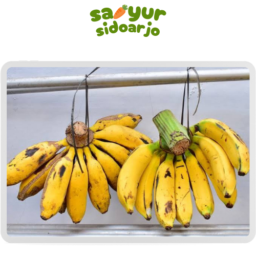 Jual Pisang Raja Pisang Susu Pisang Hijau Buah Pisang Kepok Pisang ...