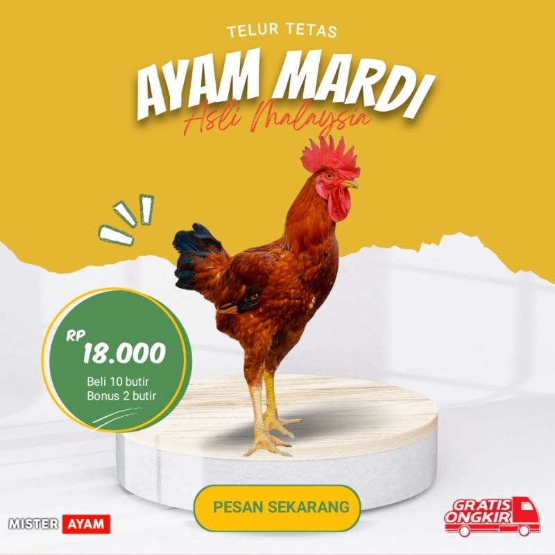 Jual TELUR AYAM MARDI SUPER | Shopee Indonesia
