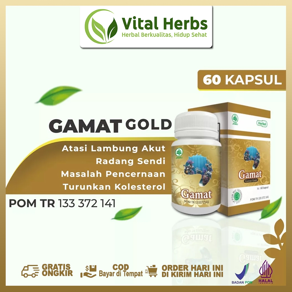 Jual Vital Herbs - Kapsul Ekstrak Gamat Gold (Obat Herbal Tulang/Sendi ...