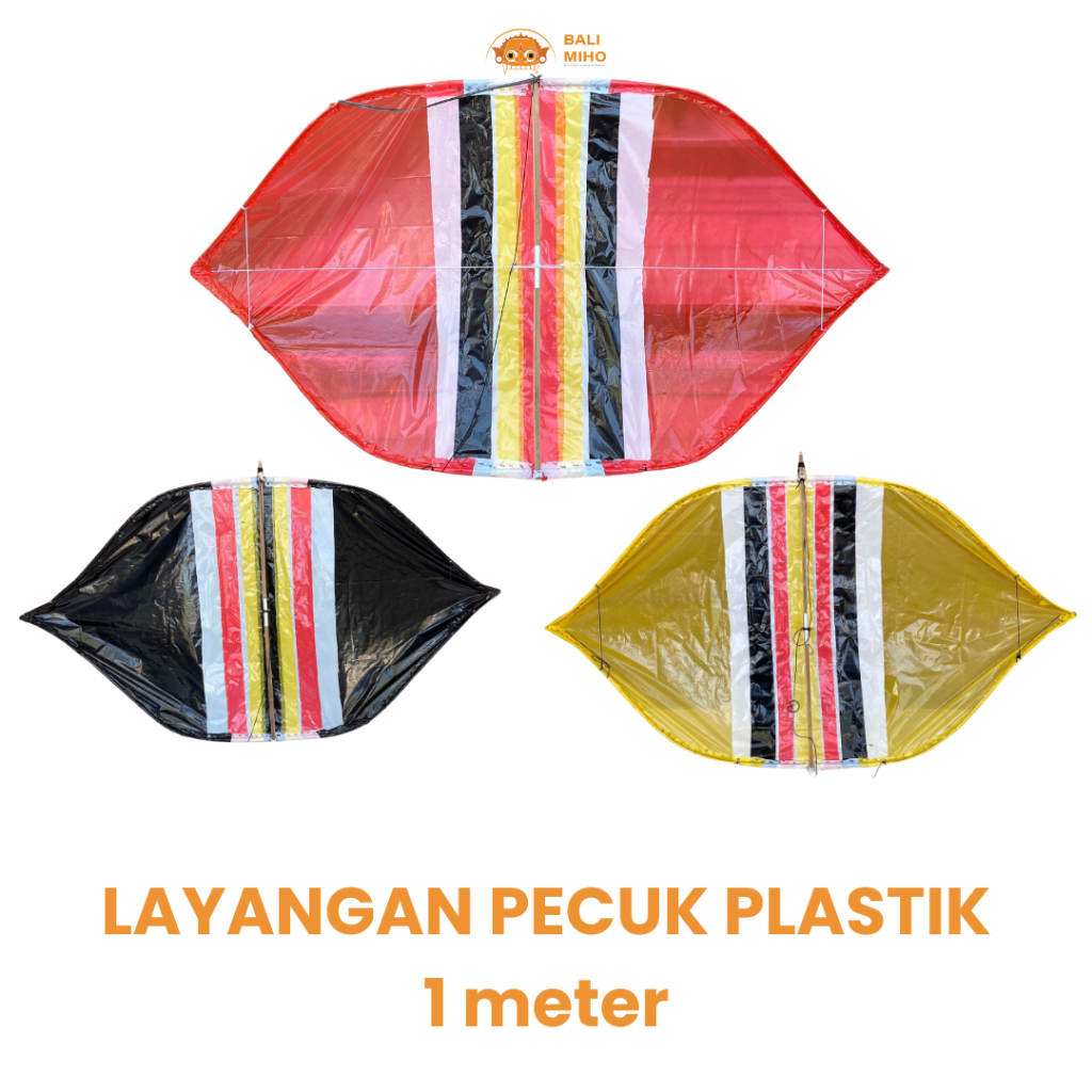 Jual Layangan Pecuk 1 meter - Layangan Pecuk Knockdown - Layangan Bali ...