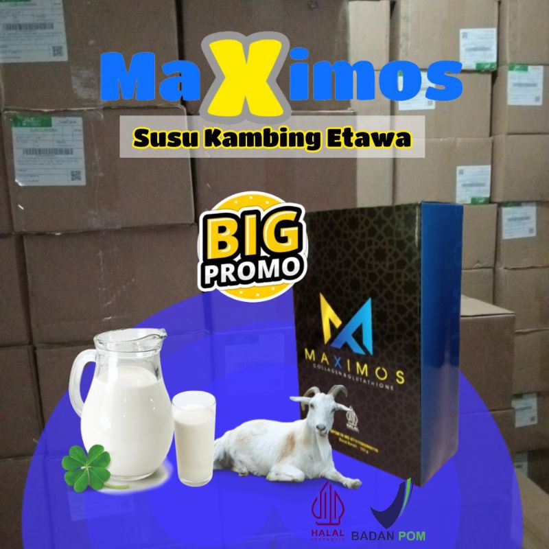 Jual 1 Dus @25 box Maximos Susu Kambing Etawa Plus Collagen 100% Asli (200 gram) | Shopee Indonesia