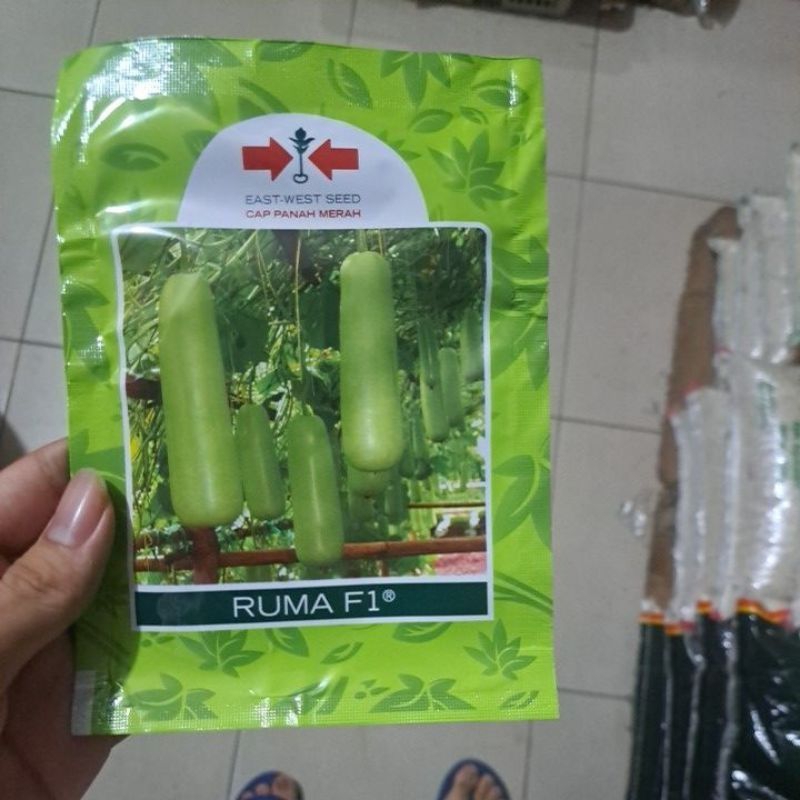 Jual Benih Labu Ruma F1 (Berbobot Panjang dan Tahan Virus) Isi 10 Gram ...