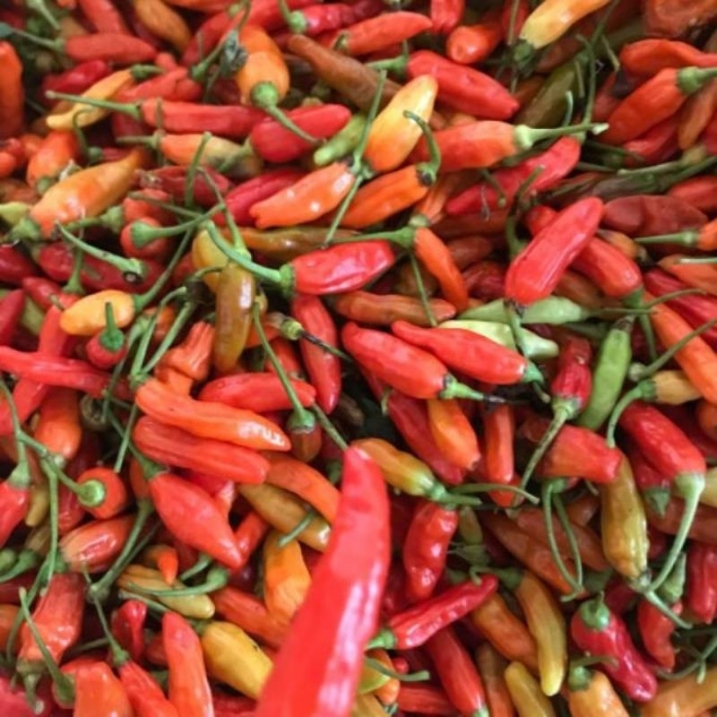 Jual cabai/cabe rawit merah berat 1kg | Shopee Indonesia