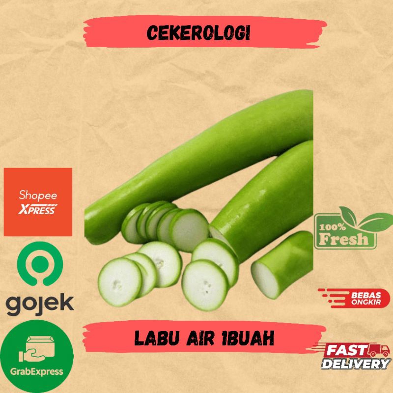 Jual Labu Air 1buah / Labu Air / Labu Air Fresh Berkualitas / Labu ...