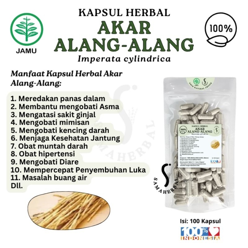 Jual ISI 100 KAPSUL HERBAL AKAR ALANG-ALANG Pencegah Panas Dalam dan Asma - SAMAHERBAL | Shopee ...